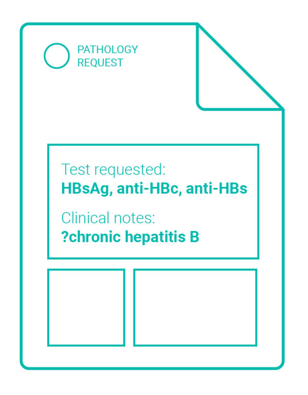 What do I need to know about testing for hepatitis B? | ASHM Health